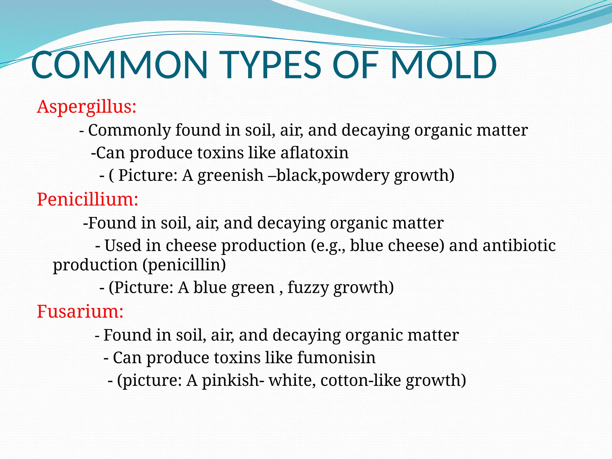 IMPORTANT MICROORGANISM IN FOOD YEAST,MOLD | PPTX