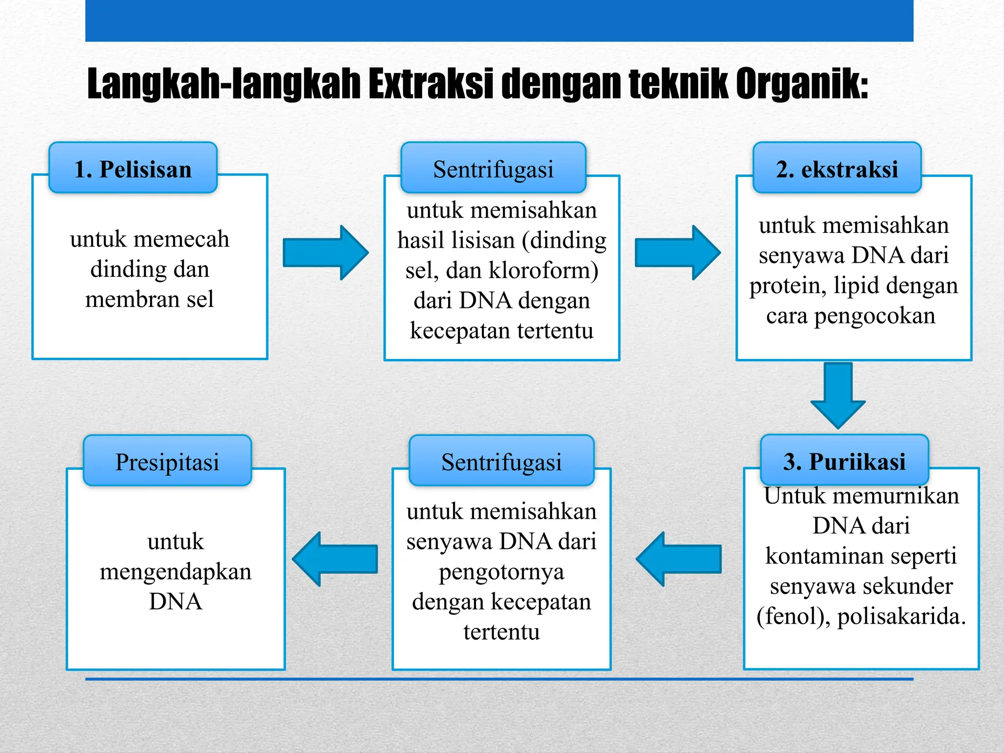 Tahapan Ekstraksi dan Purifikasi DNA, pengukuran kualitas DNA | PPTX