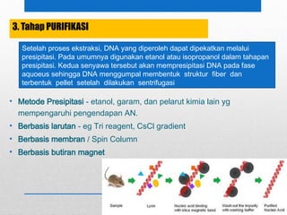 Tahapan Ekstraksi dan Purifikasi DNA, pengukuran kualitas DNA | PPTX