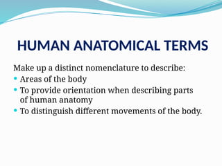 Anatomical Terminologies For MEdical Students to lern More Better | PPT