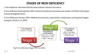 Epigenetic of iron deficiency presentation.pptx