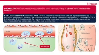 A.P. TEMA 3 INFLAMACIÓN AGUDA Y CRÓNICA.pptx