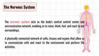 A.-INTRO-to-the-nervous-system FUNCTIONS | PDF