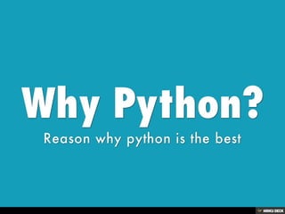 Why Python? | PDF