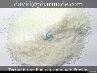 Testosterone Enanthate Powder | PDF
