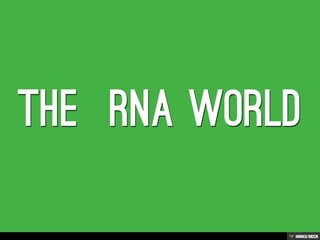 The RNA WorlD | PDF
