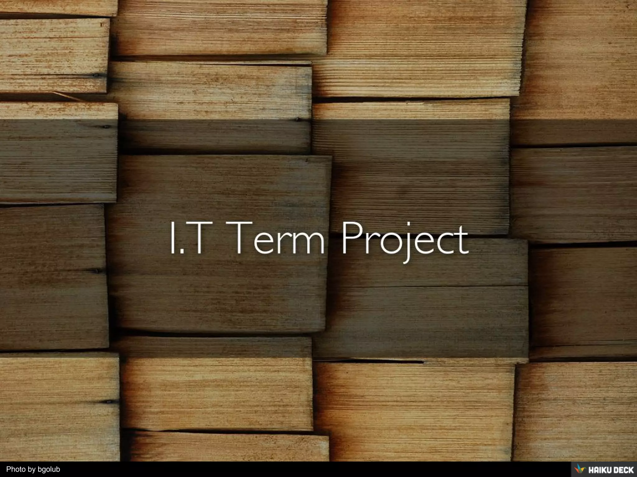 I.T Term Project | PDF