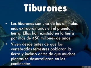 Tiburones | PDF