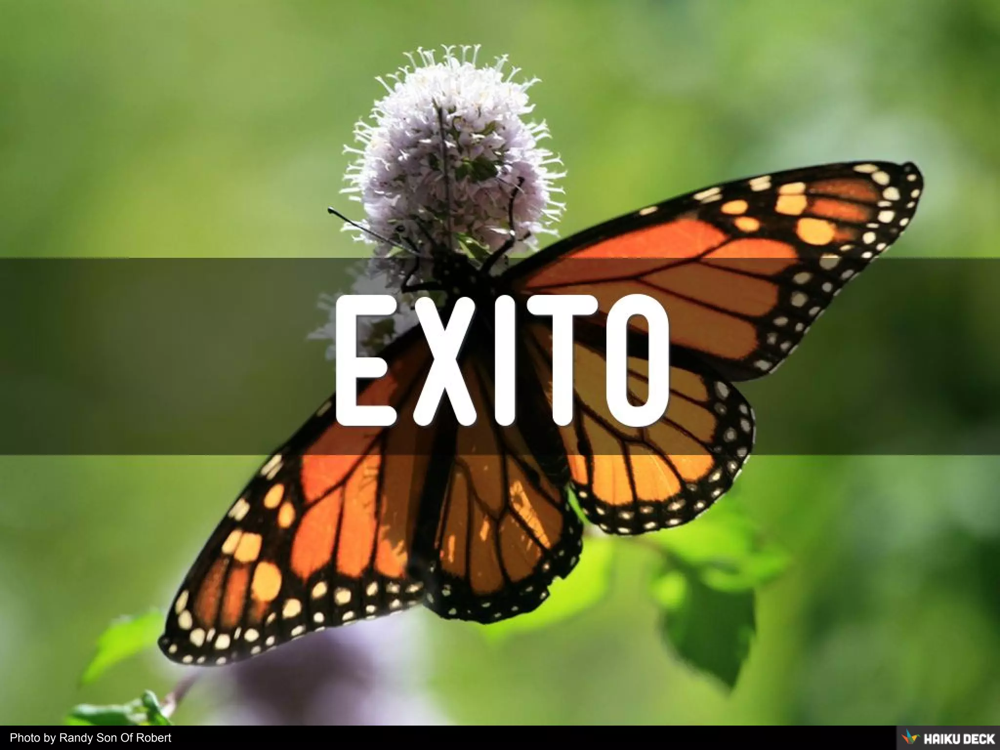 exito | PDF