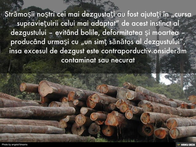 Inteligenta Emotionala 2 | PDF