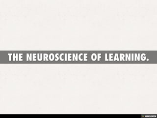 THE NEUROSCIENCE OF LEARNING. | PDF