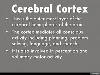 THE NEUROSCIENCE OF LEARNING. | PDF