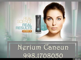 Nerium Cancun | PDF