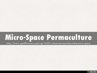 Growing Food in Small Spaces | PDF