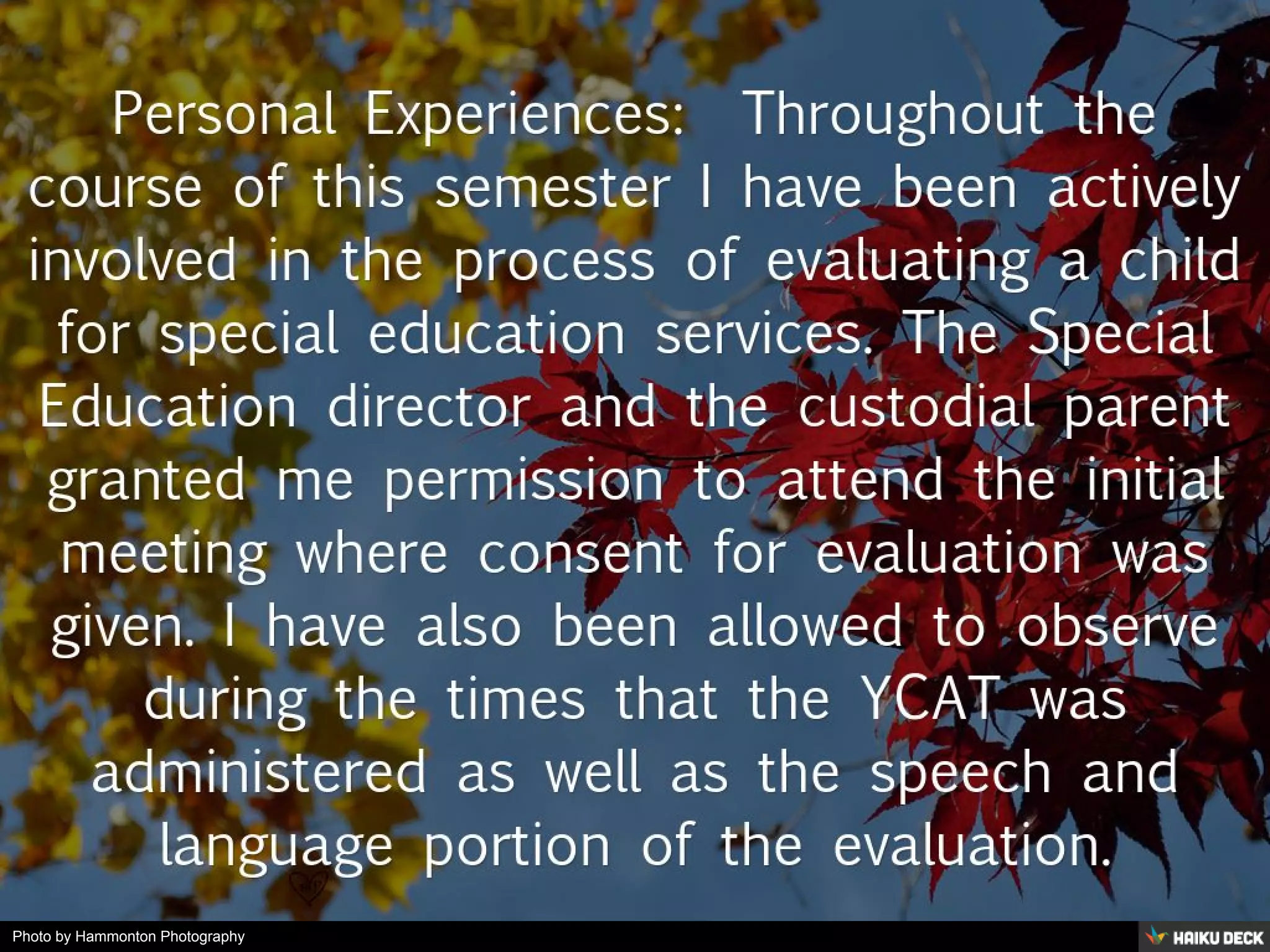 Six Major Principles of IDEA | PDF