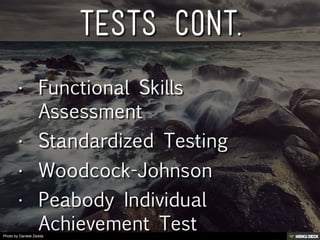 Six Major Principles of IDEA | PDF