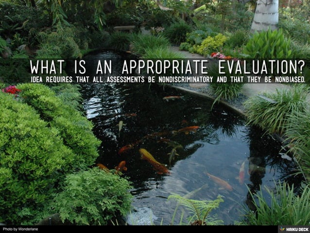 Six Major Principles of IDEA | PDF