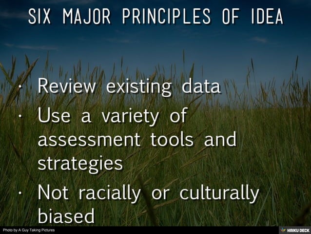 Six Major Principles of IDEA | PDF