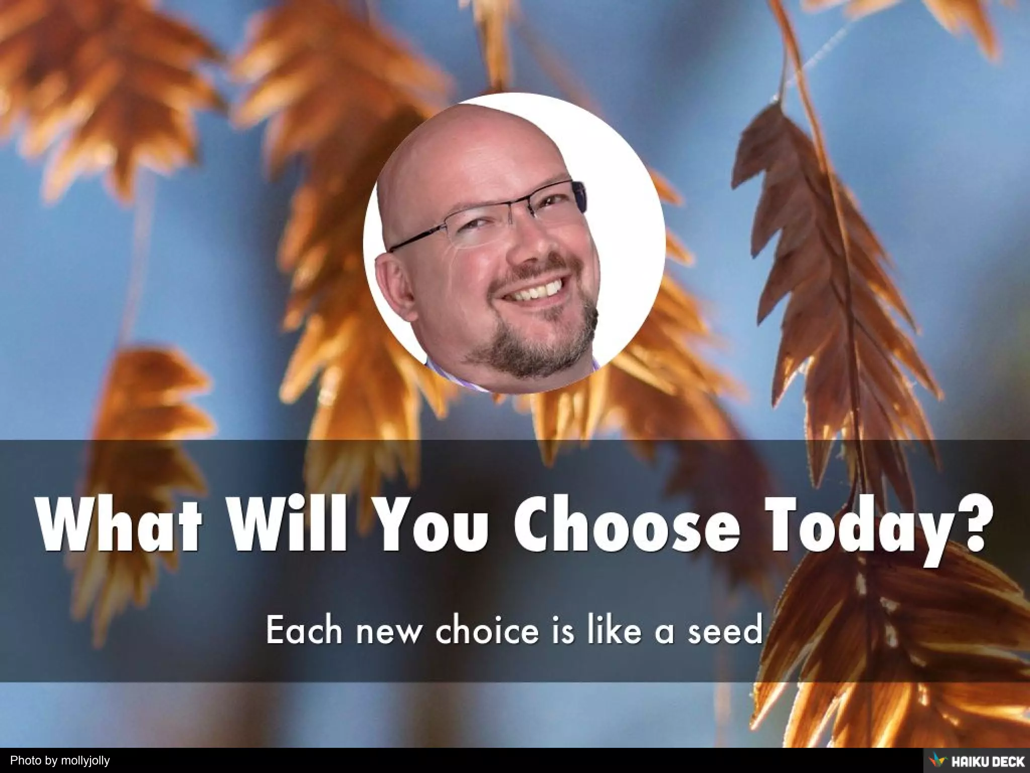 It's Chooseday | PDF | Gardening | Home & Garden