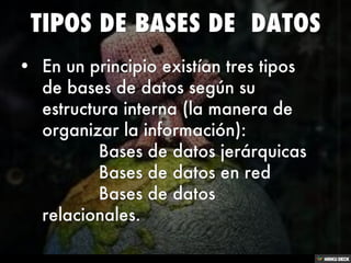 TIPOS DE BASES DE DATOS | PDF