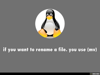 ITC Exam: part 4 | PDF