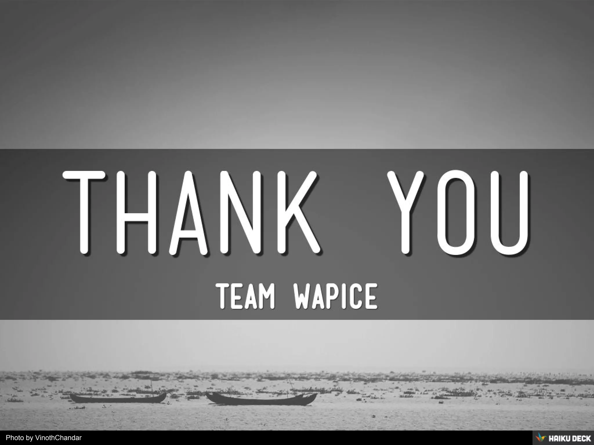 WAPICE GOES TO INDIA | PPT