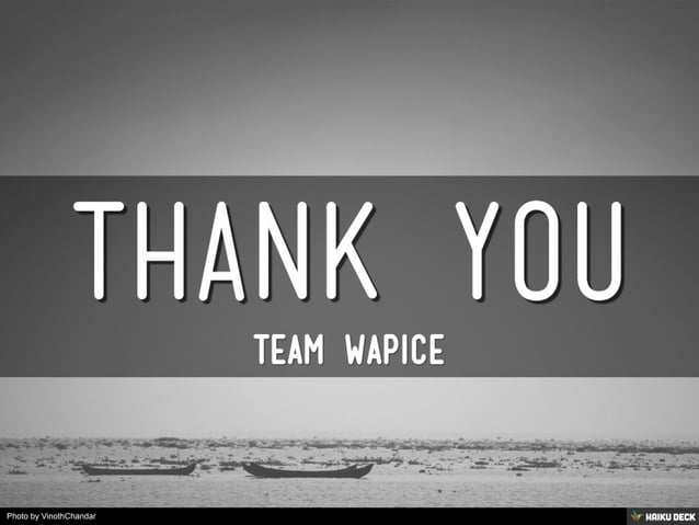 WAPICE GOES TO INDIA | PPT