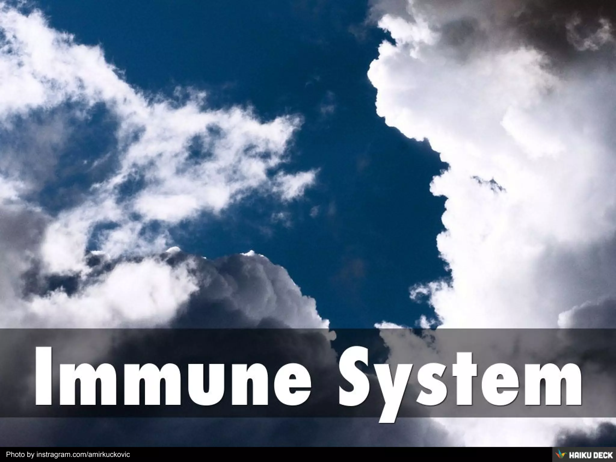 Immune System | PDF