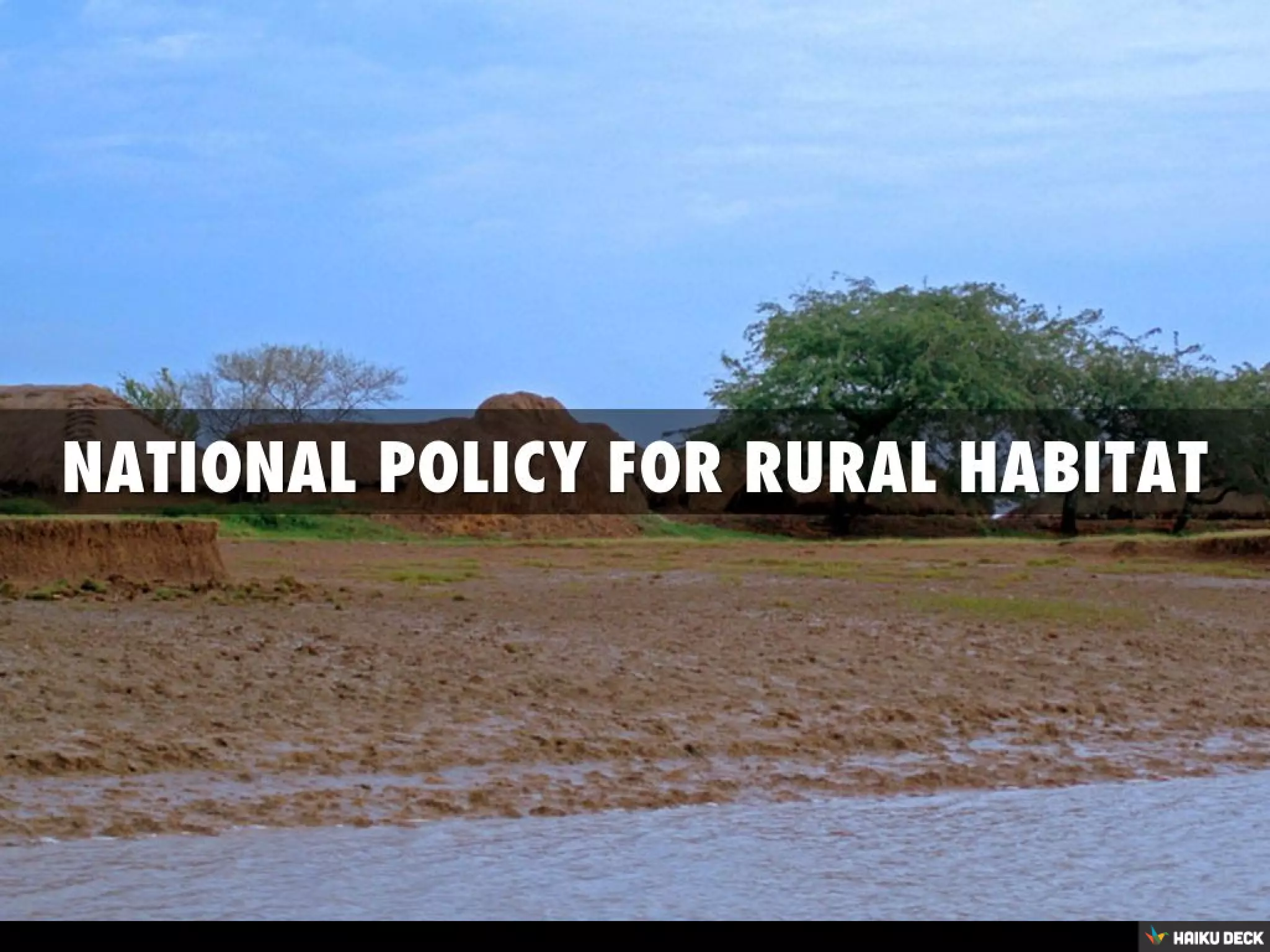 NATIONAL POLICY FOR RURAL HABITAT | PDF
