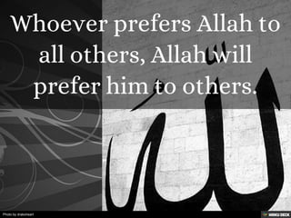 Quotes By Ibn Qayyim (rahimahu Allah) | PDF
