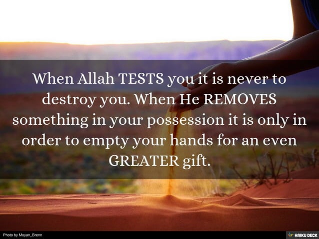 Quotes By Ibn Qayyim (rahimahu Allah) | PDF