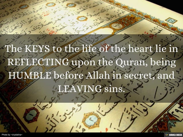 Quotes By Ibn Qayyim (rahimahu Allah) | PDF