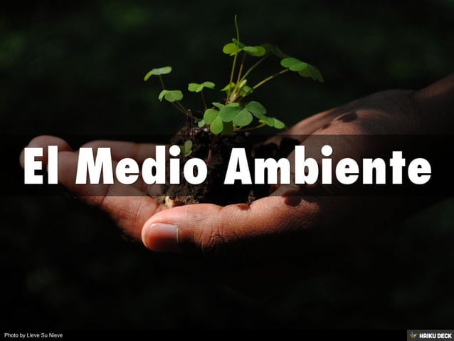El Medio Ambiente | PPT