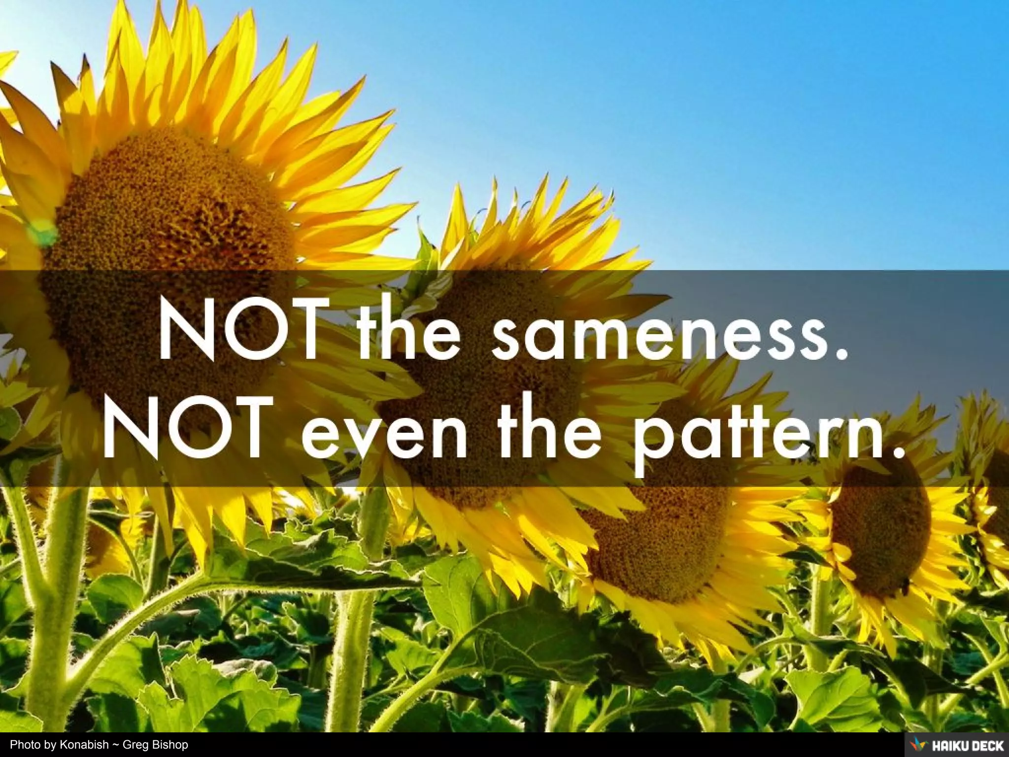 the human condition | PPTX