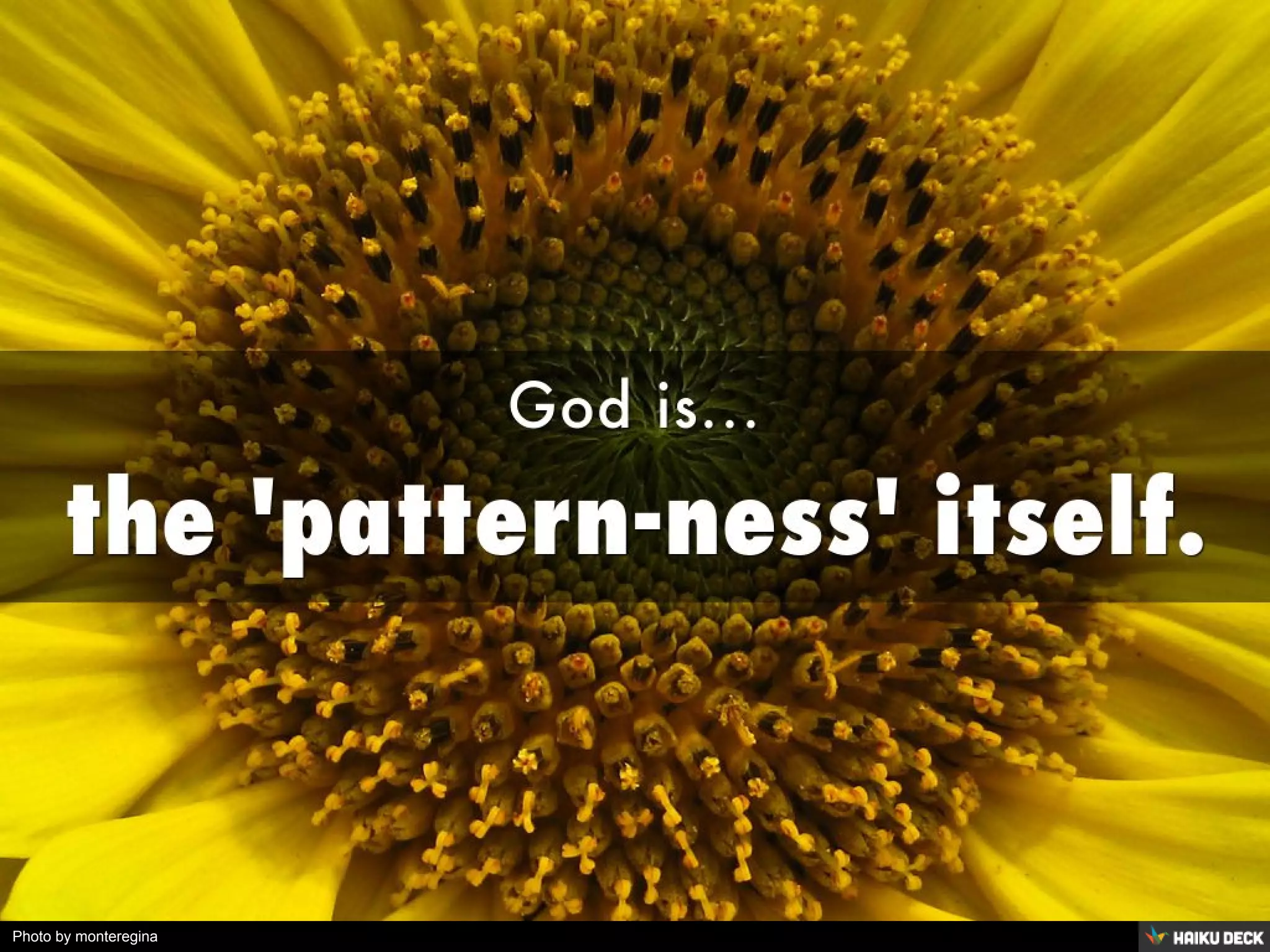 the human condition | PPTX