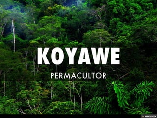 KOYAWE | PDF