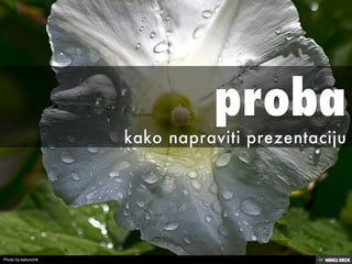proba | PPT