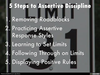 Discipline Models | PDF