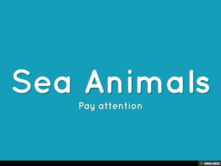 Sea Animals | PDF | Photography | Arts and Crafts