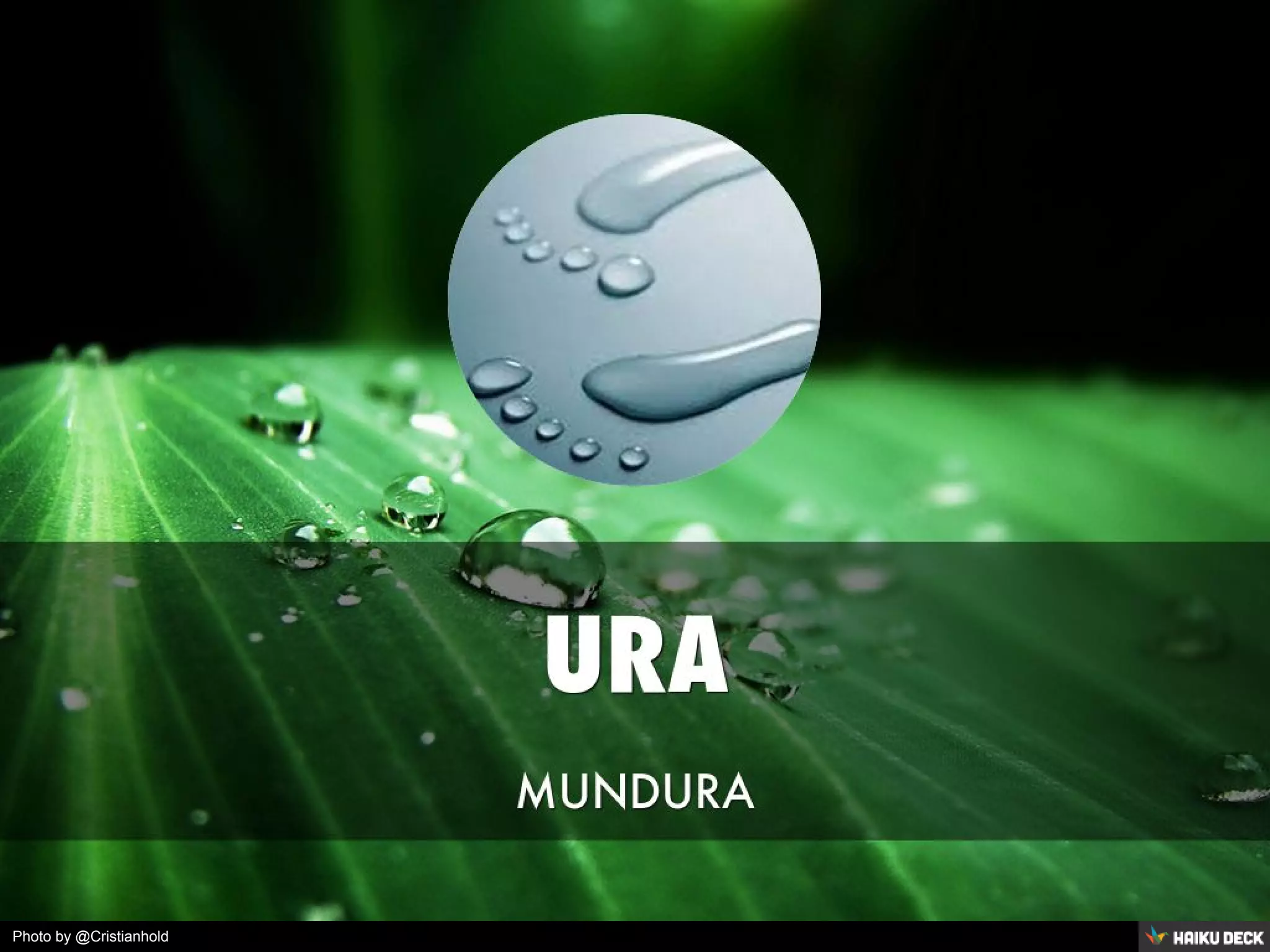 URA | PDF