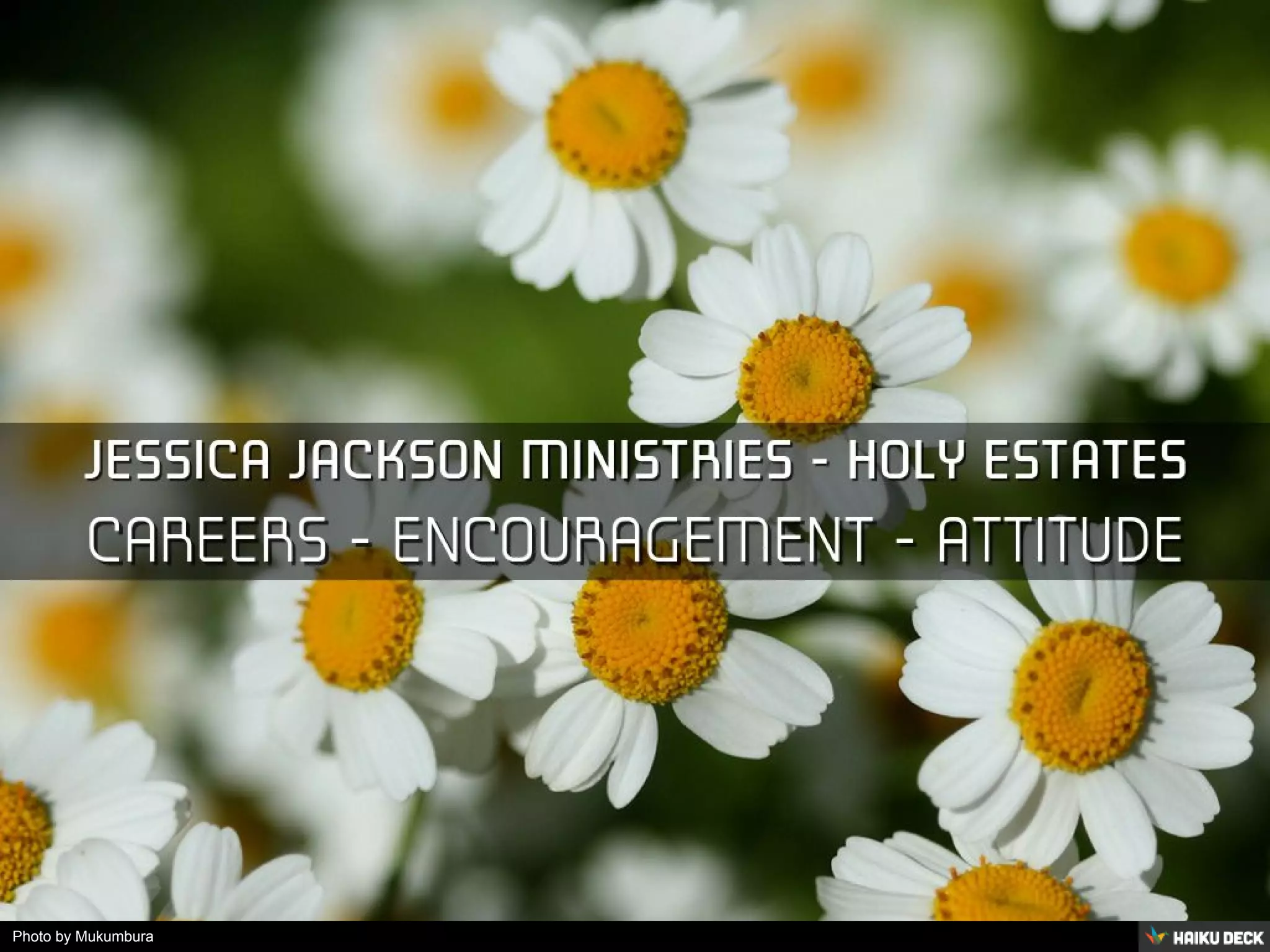 TITHES & OFFERINGS MAGAZINE | PDF