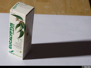 Untitled Presentation | PPT