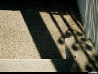 Untitled Presentation | PPT