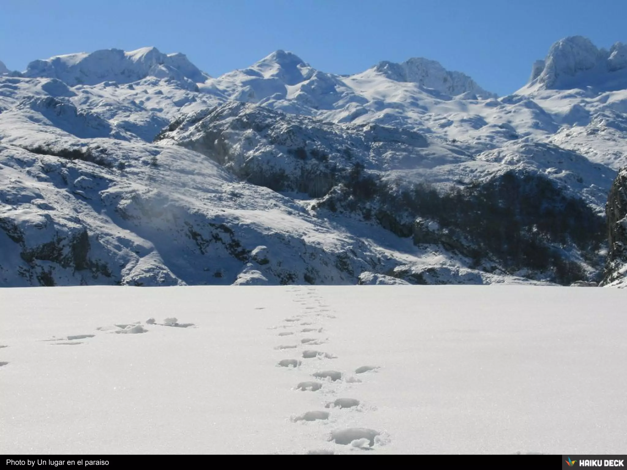 Untitled Presentation | PDF