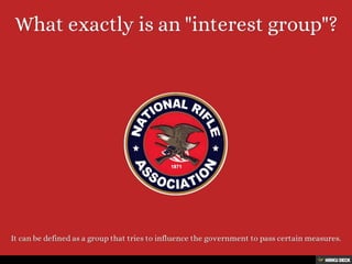 Interest Groups | PDF