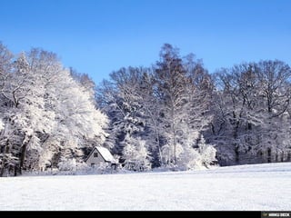 Hot and cold landscapes | PDF