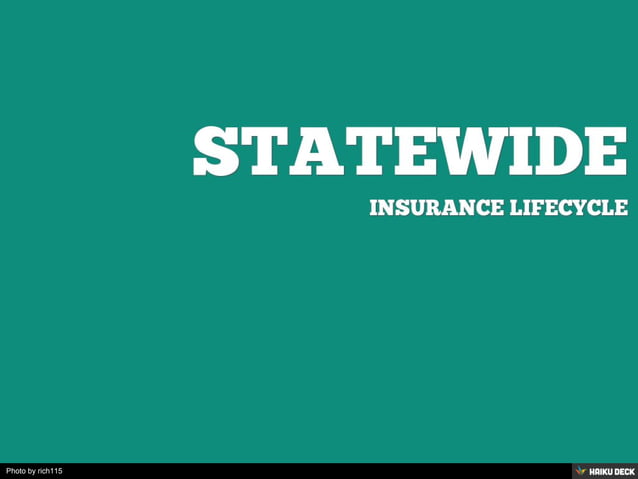 Statewide Insurance - Lifecycle | PDF
