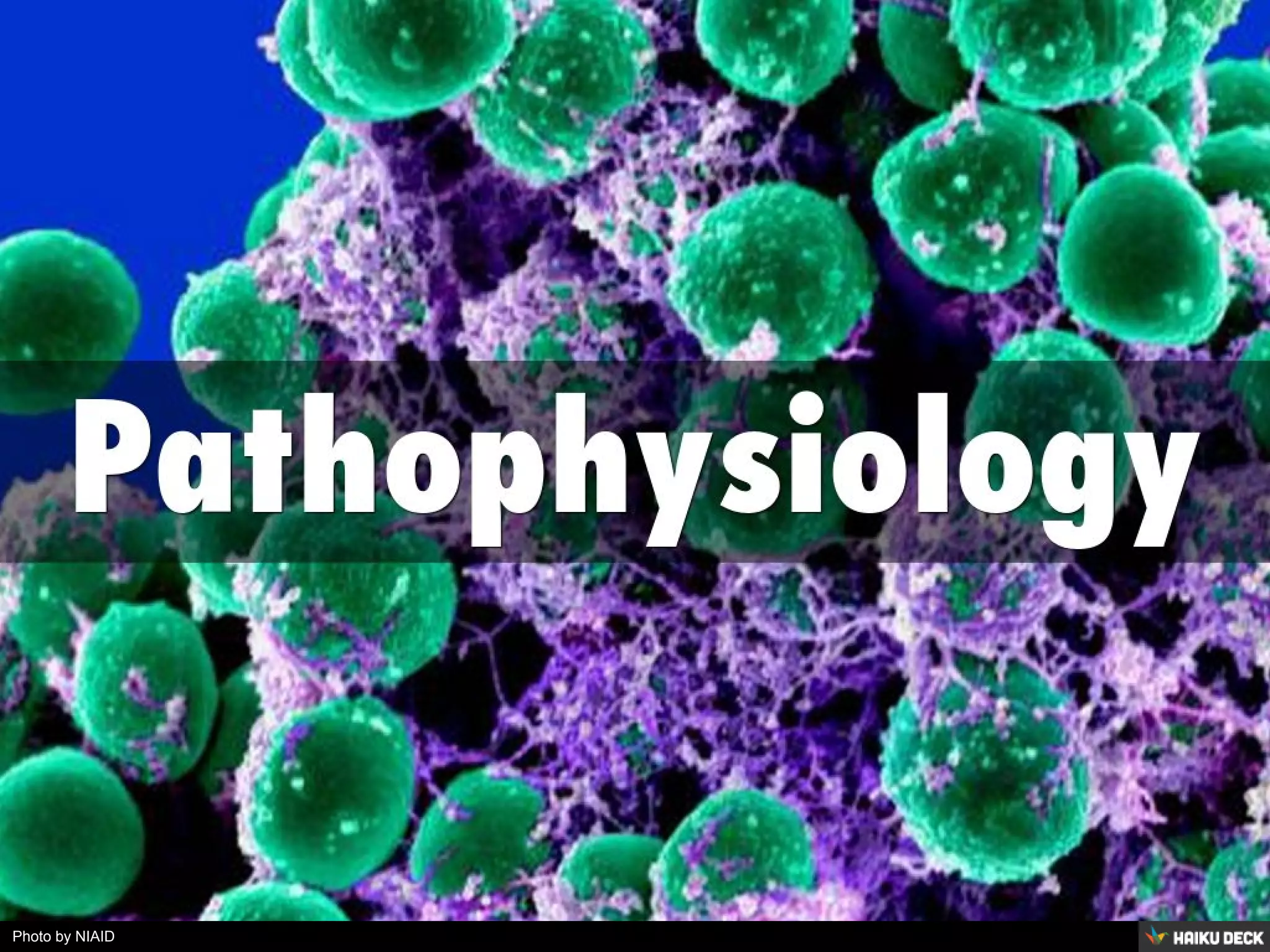 Dawn Yetto...An Introduction | PDF