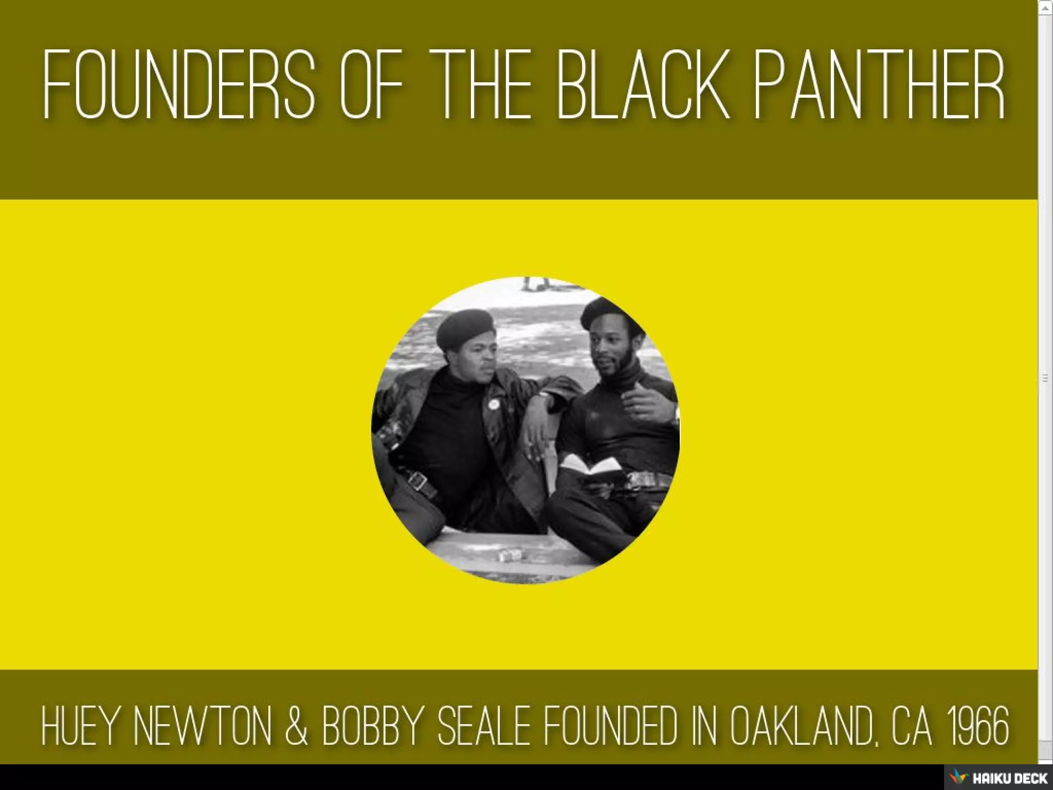 The Black Panther Party | PDF