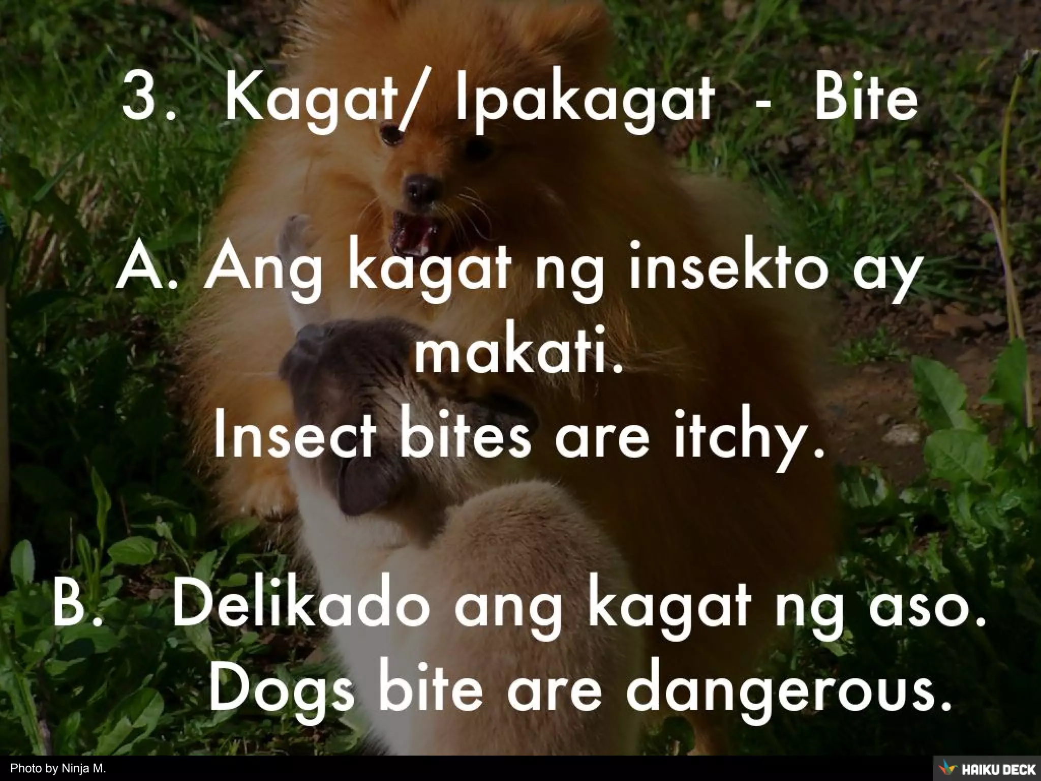 Tagalog Vocabulary Set 4 Alamat ng mga Daliri | PDF
